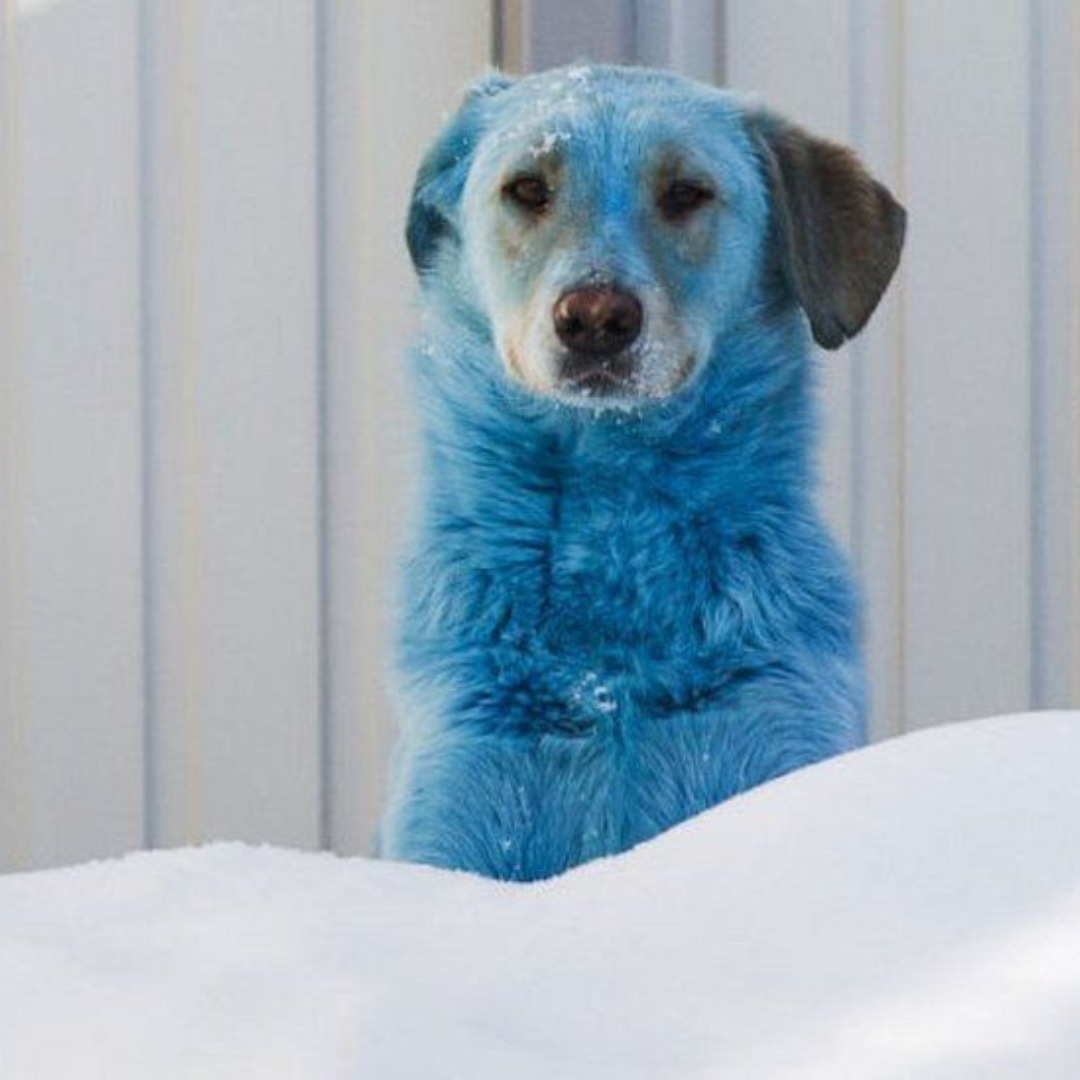 Reside / Sustain | WHAT'S THE MATTER | WHAT MATTERS [AGENTIAL REALISM ...